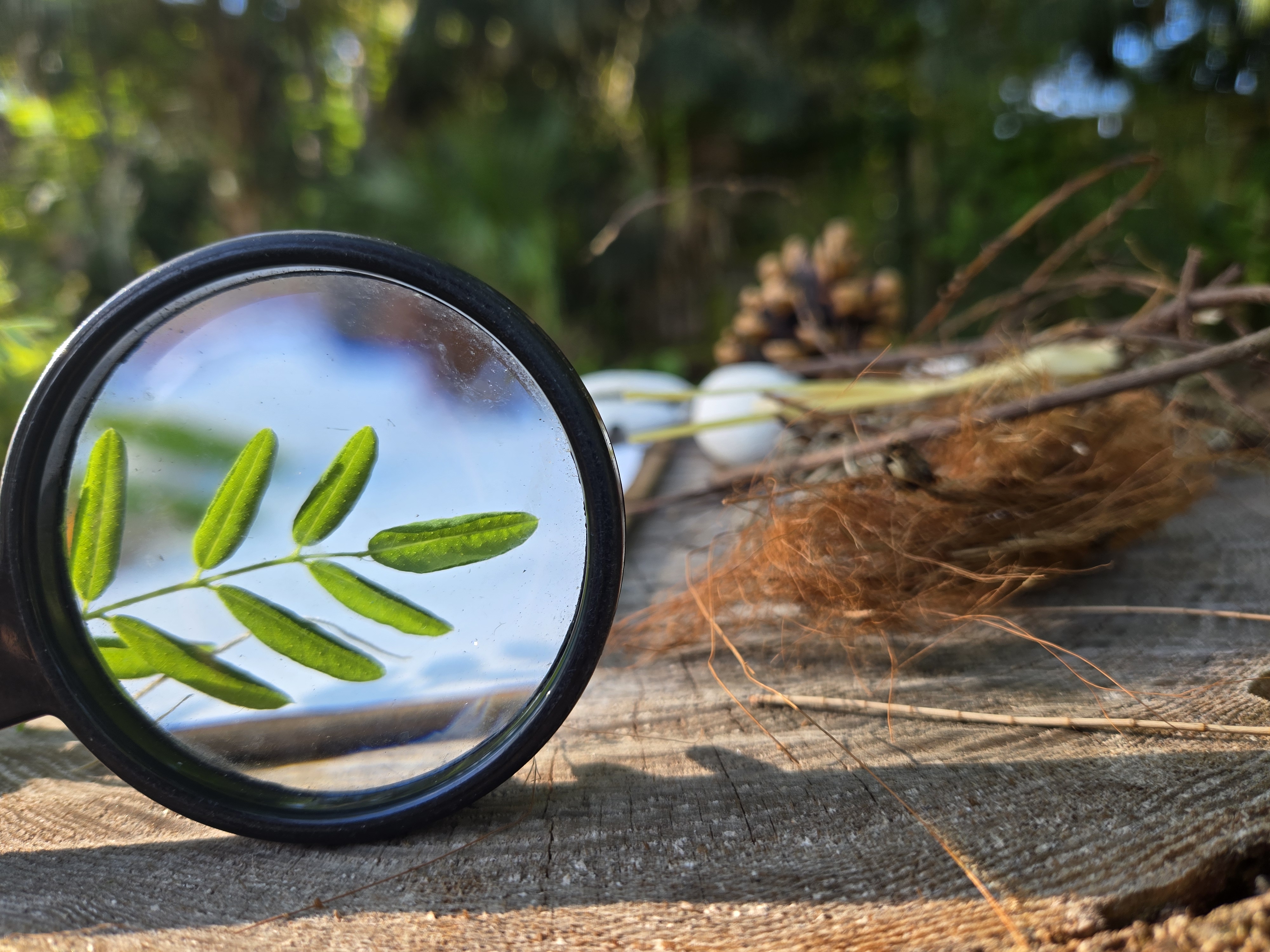 FAQ - Sprout and Sky Summer Camp | Vero Beach, FL